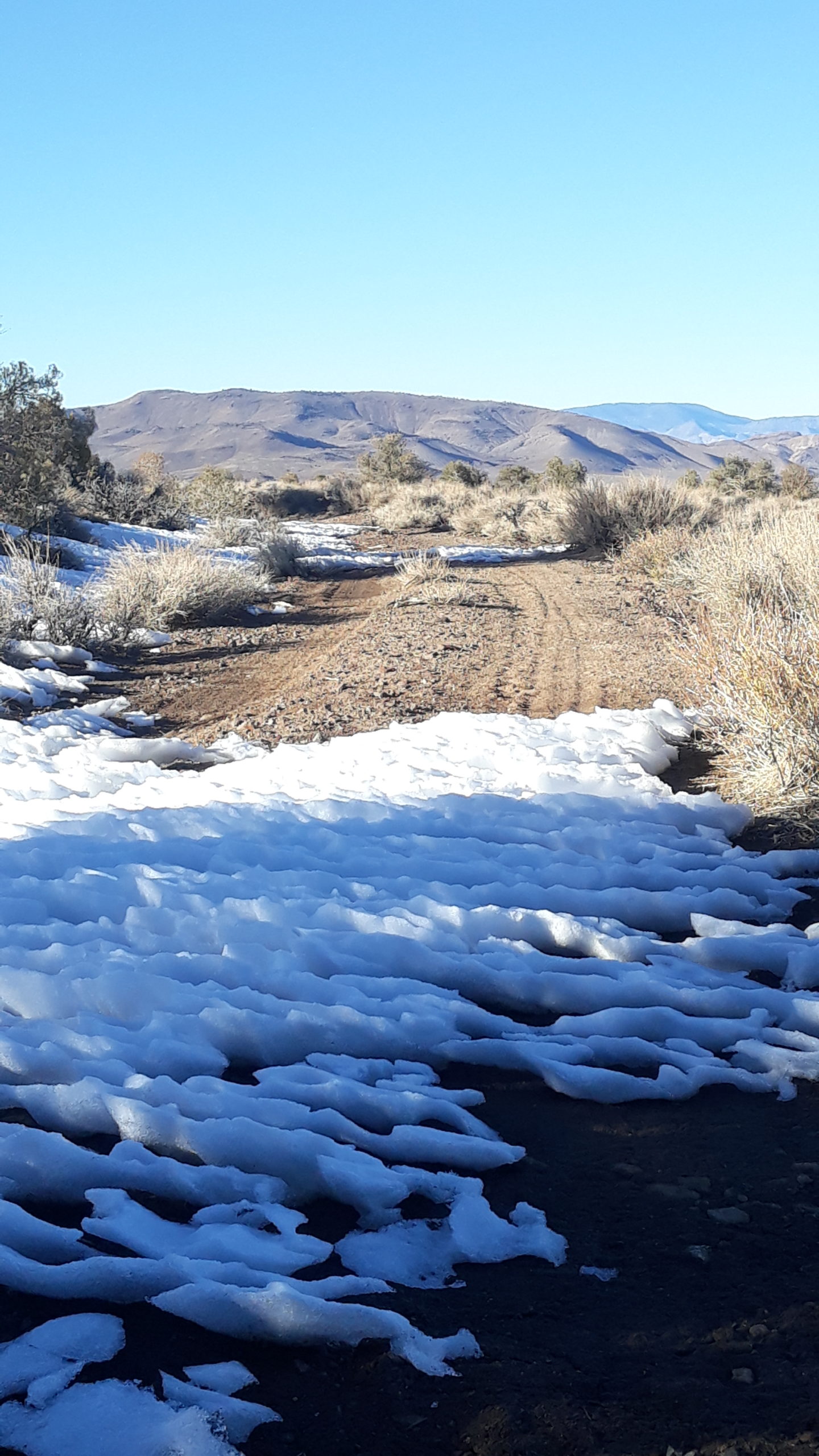 Mt. Montgomery tunnel – Carson & Colorado Railway